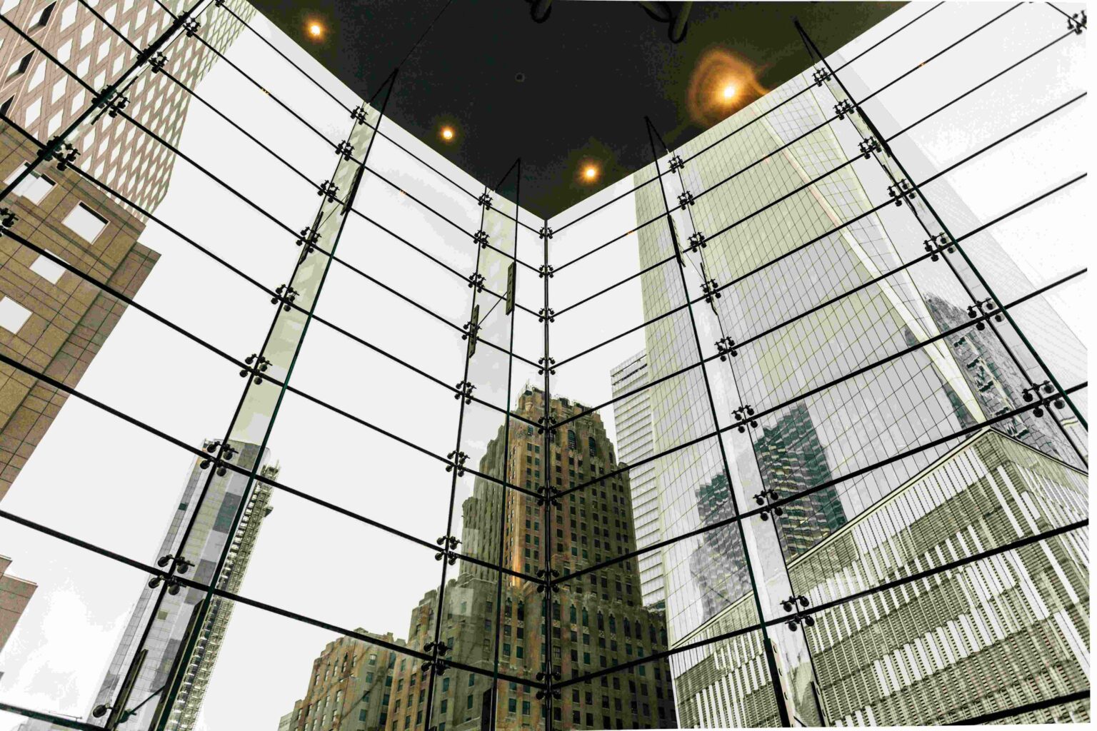 ECB action and progress in peace talks | Business & Finance